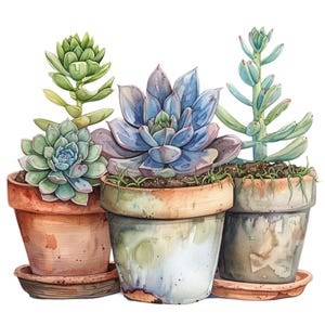 Folk Art Succulents in Pots Clipart Bundle, 16 High-quality JPG, Craft ...