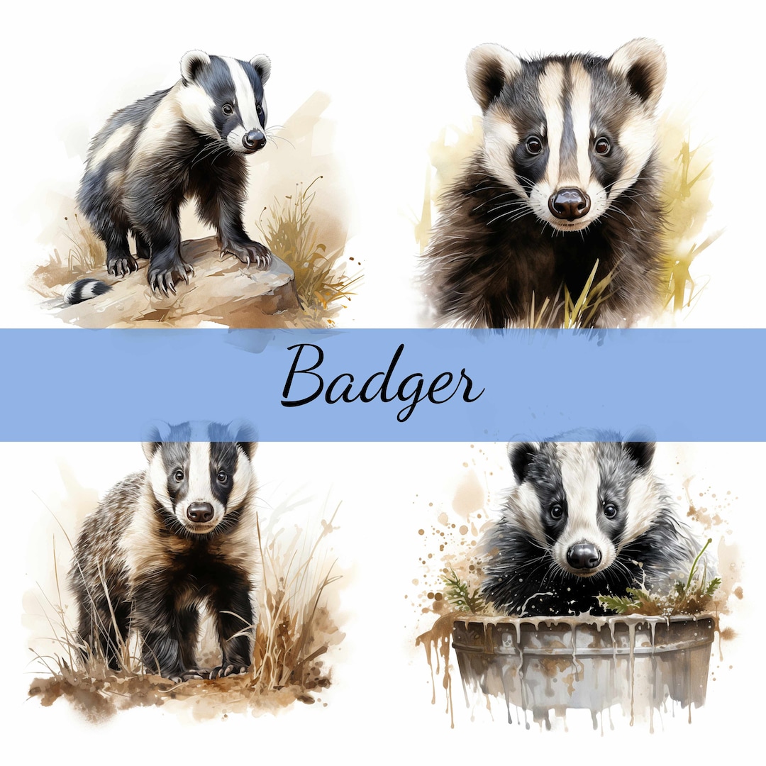 16 Wild Badger Clipart Bundle, High-quality JPG, Craft Art, Card Making ...