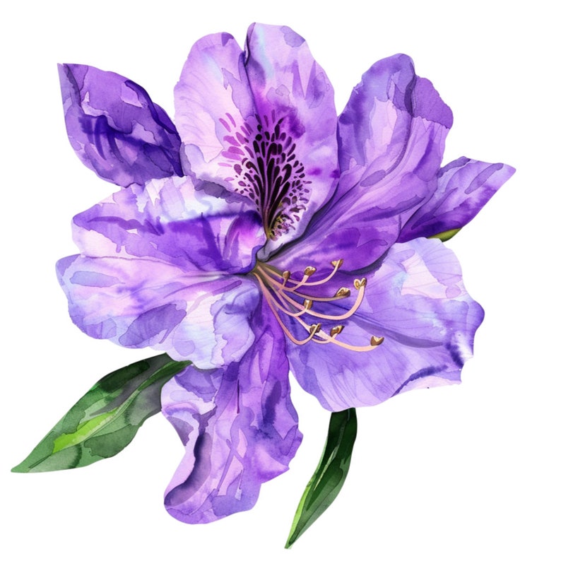 Azalea Flower Mix Clipart Bundle, 15 High-quality JPG, Craft Art, Card ...