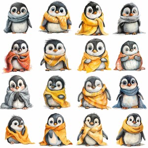 Cute Penguin With Blanket Clipart Bundle, 16 High-quality JPG, Craft ...