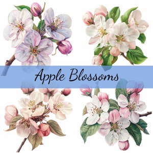 Apple Blossomflowers Clipart Bundle, 16 High-quality JPG, Craft Art ...