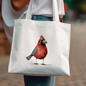 14 Silly Funny Cardinal Bird Clipart Bundle, JPG, Card Making, Clip Art ...