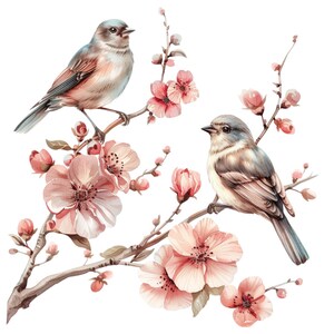 Birds in Flower Trees Clipart Bundle, 15 High-quality JPG, Craft Art ...