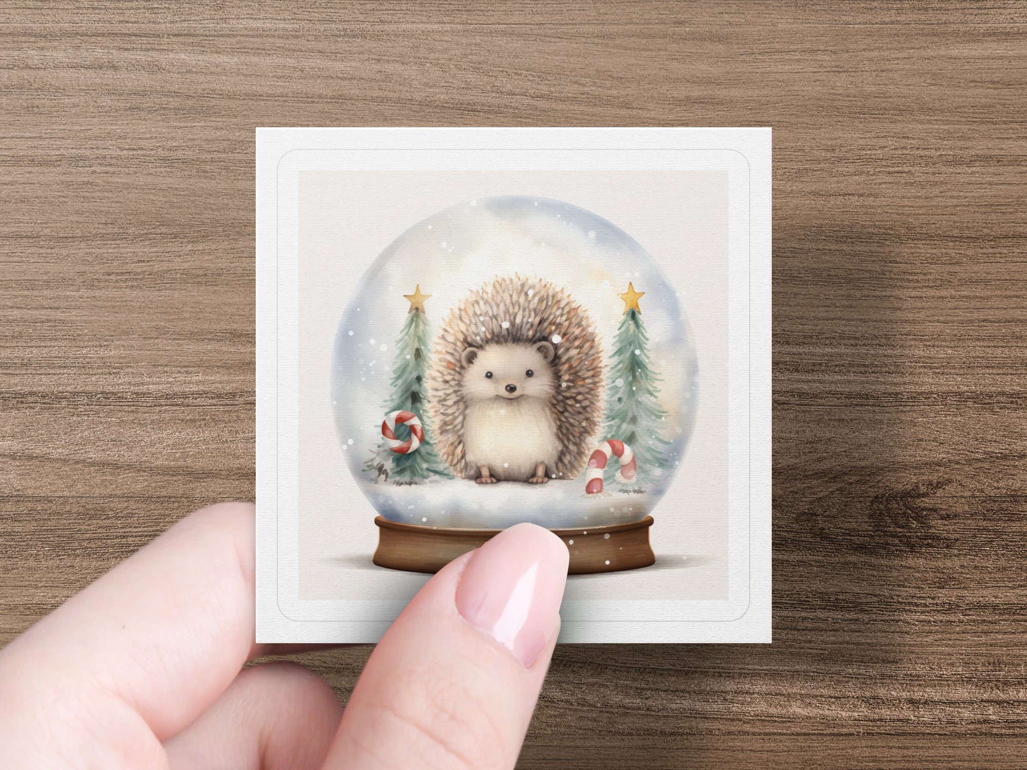 16 Wild Animal Snow Globes Clipart Bundle, JPG, Card Making, Clip Art ...