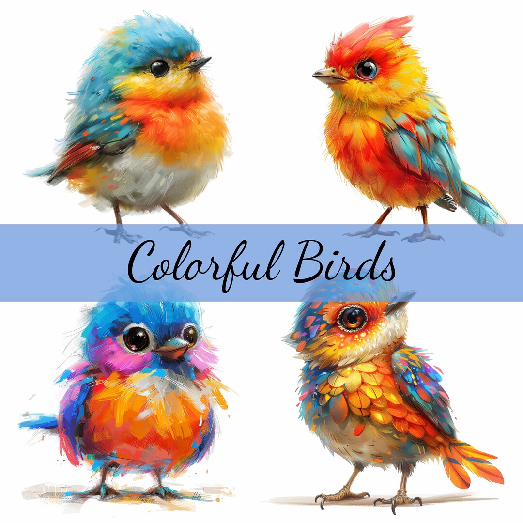 Colorful Bird Clipart Bundle, 16 High-quality JPG, Craft Art, Card ...