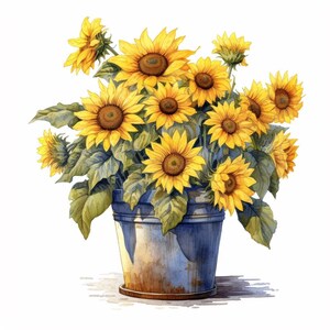 16 Red Sunflower Pots Flower Pots Clipart Bundle, High-quality JPG ...