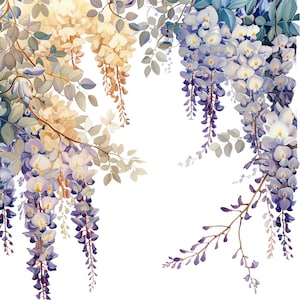 Wisteria Flower Frame Clipart Bundle, 14 High-quality JPG, Craft Art ...