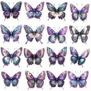 Purple Teal Butterfly Clipart Bundle, 16 High-quality JPG, Craft Art ...