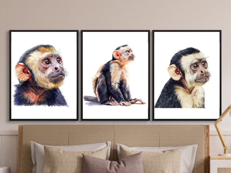 Capuchin Monkey Clipart Bundle, 14 High-quality JPG, Craft Art, Card ...
