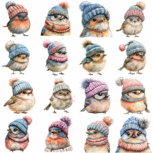 Cute Bird With Knit Hat Clipart Bundle, 16 High-quality JPG, Craft Art ...