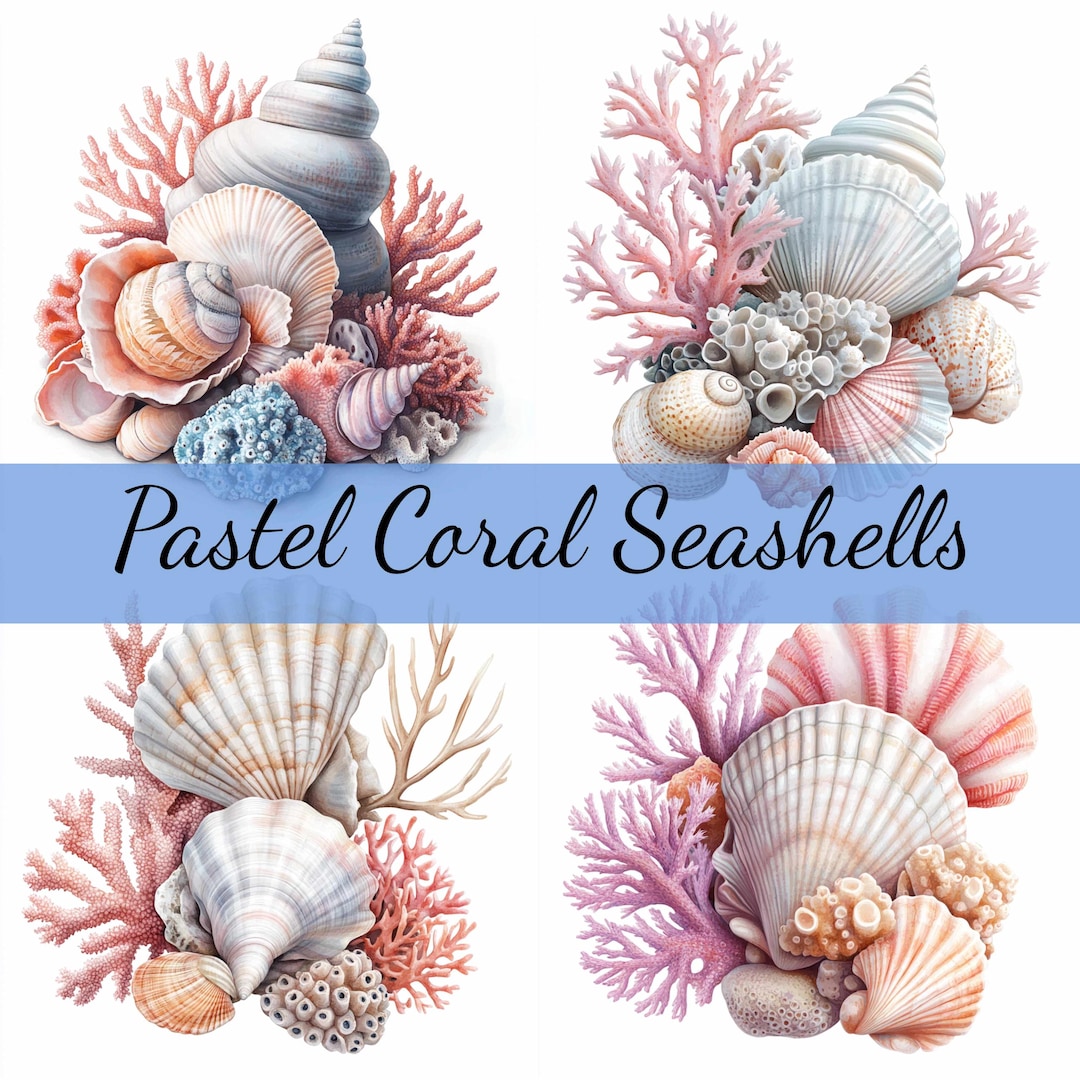 Folk Art Pastel Coral Sea Shells Clipart Bundle 12 Transparent PNG ...