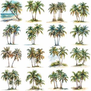 Palm Trees on the Beach Clipart Bundle, 16 High-quality JPG, Craft Art ...