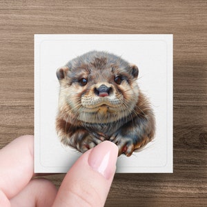 Playful Otter Clipart Bundle, 15 High-quality JPG, Craft Art, Card ...