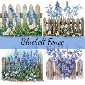 Bluebells White Flowers on a Fence Clipart Bundle, 16 High-quality JPG ...