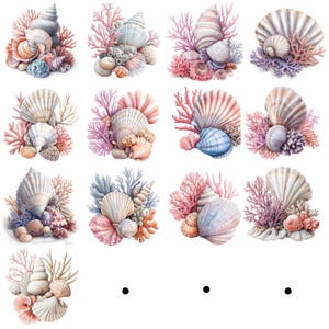 Folk Art Pastel Coral Sea Shells Clipart Bundle 12 Transparent PNG ...