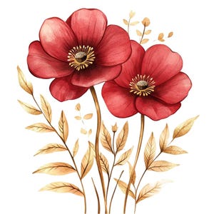 Red Flowers With Gold Clipart Bundle, 16 JPG and Transparent PNG ...