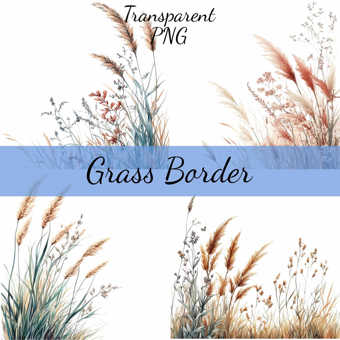 16 Boho Grass Reeds Border Frame Corner Clipart Bundle 16 Transparent ...