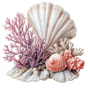Folk Art Pastel Coral Sea Shells Clipart Bundle 12 Transparent PNG ...