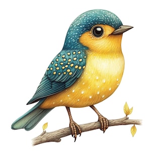 Teal Yellow Birds Clipart Bundle, 16 High-quality JPG, Craft Art, Card ...