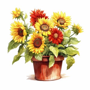 16 Red Sunflower Pots Flower Pots Clipart Bundle, High-quality JPG ...
