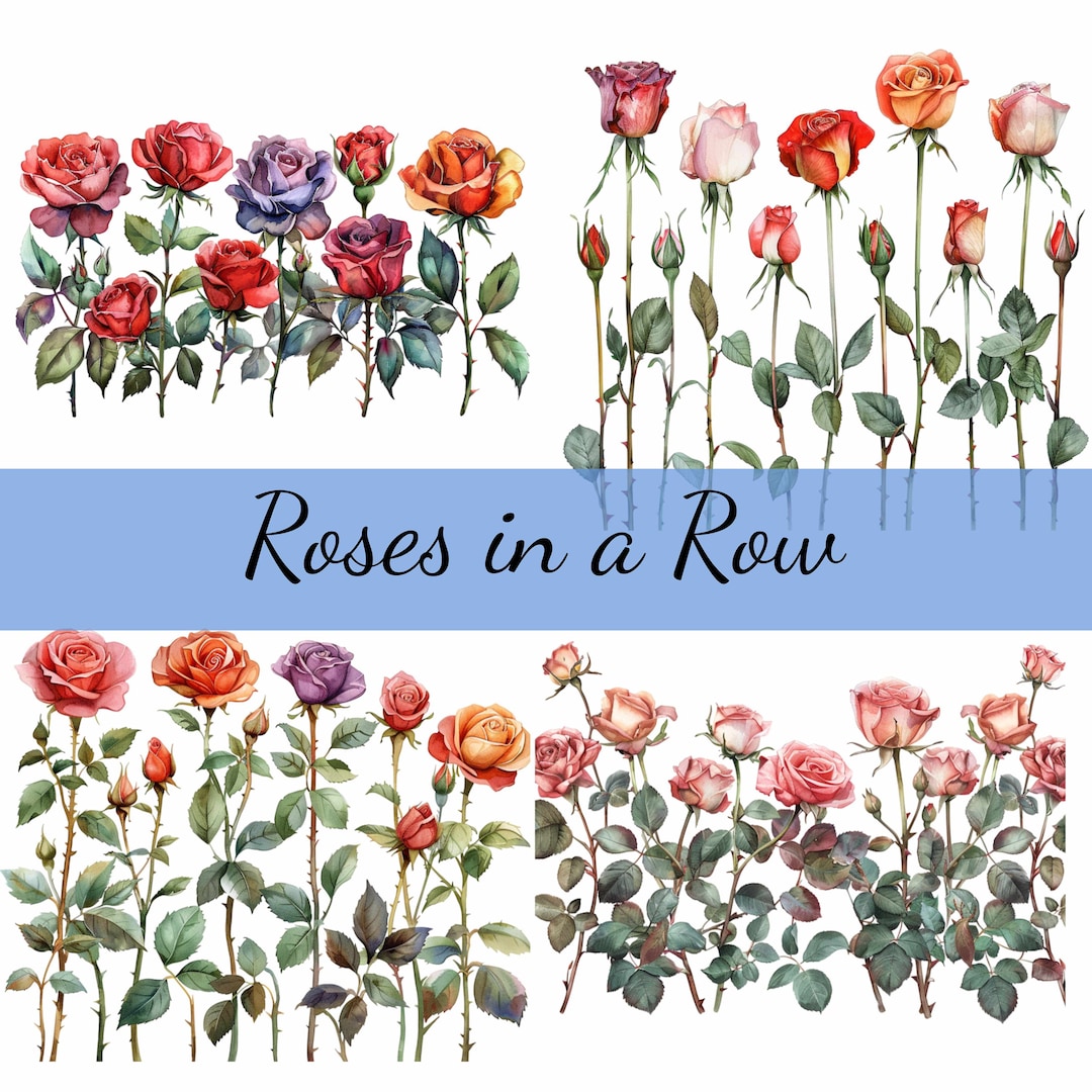 15 Rose Flower in a Row Clipart Bundle, High-quality JPG, Craft Art, 15 ...