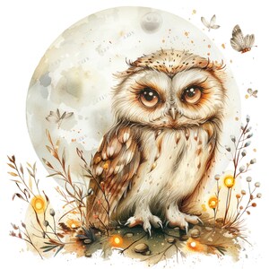 Owl and Moon Celestial Clipart Bundle, 16 High-quality JPG, Craft Art ...