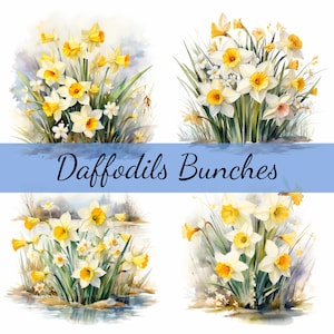 16 Daffodil Bunches Clipart Bundle, High-quality JPG, Craft Art, Card ...