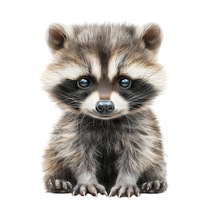 16 Cute Baby Raccoon Clipart Bundle, 16 High-quality JPG, Craft Art ...