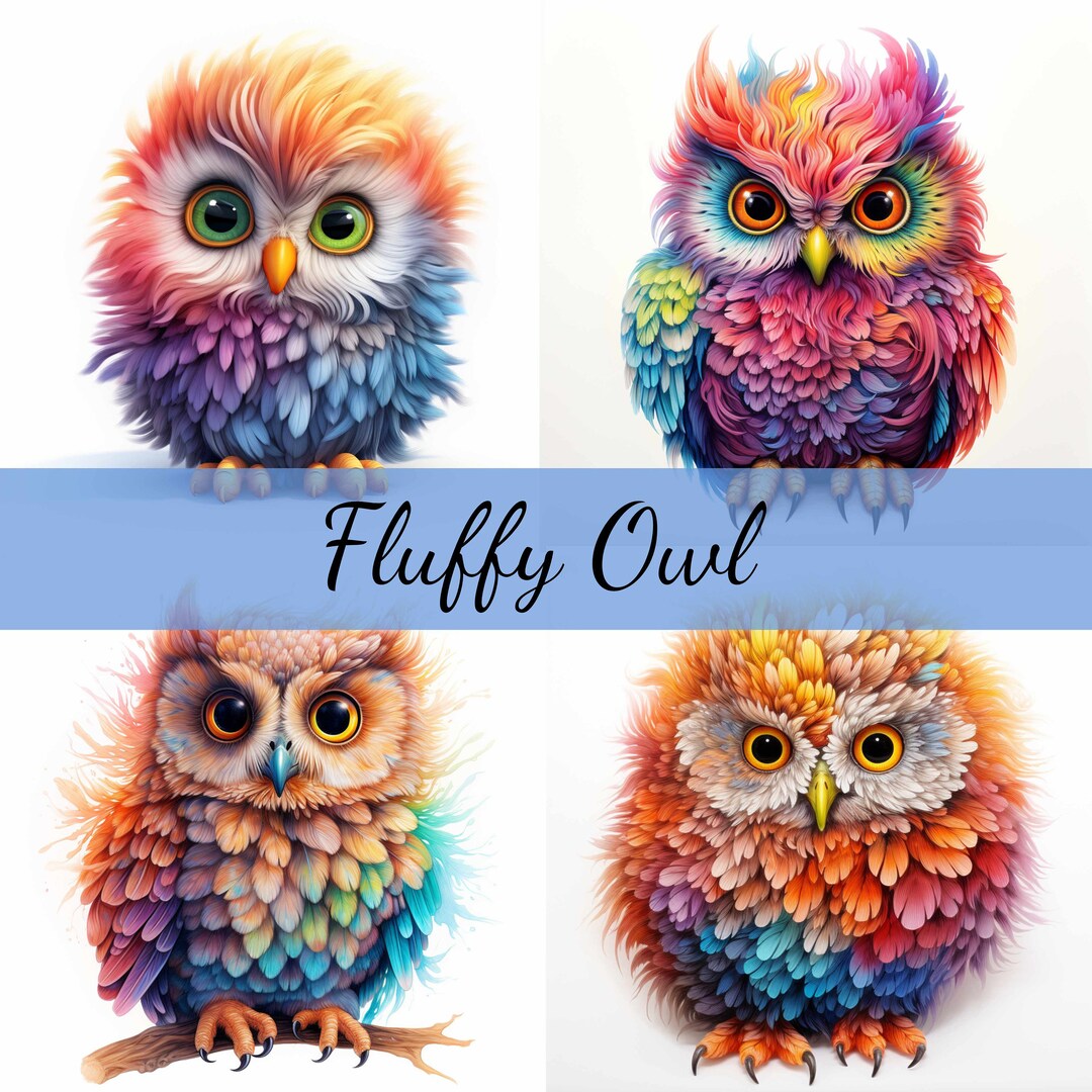 16 Fluffy Rainbow Owl Clipart Bundle, High-quality JPG, Craft Art, Card ...