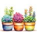 14 Succulents in Pots Clipart Bundle, High-quality JPG, Invitations ...