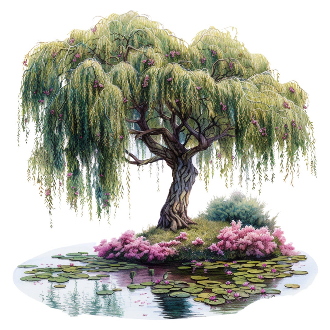 Weeping Willow Tree in Spring Clipart Bundle, 12 High-quality JPG ...
