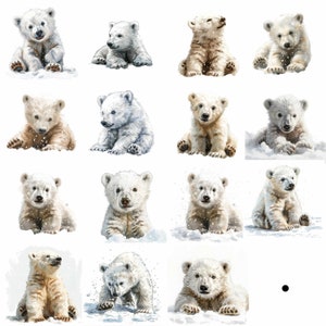 Polar Bear Cub in Snow Clipart Bundle, 15 High-quality JPG, Craft Art, Card Making, Clip Art ...