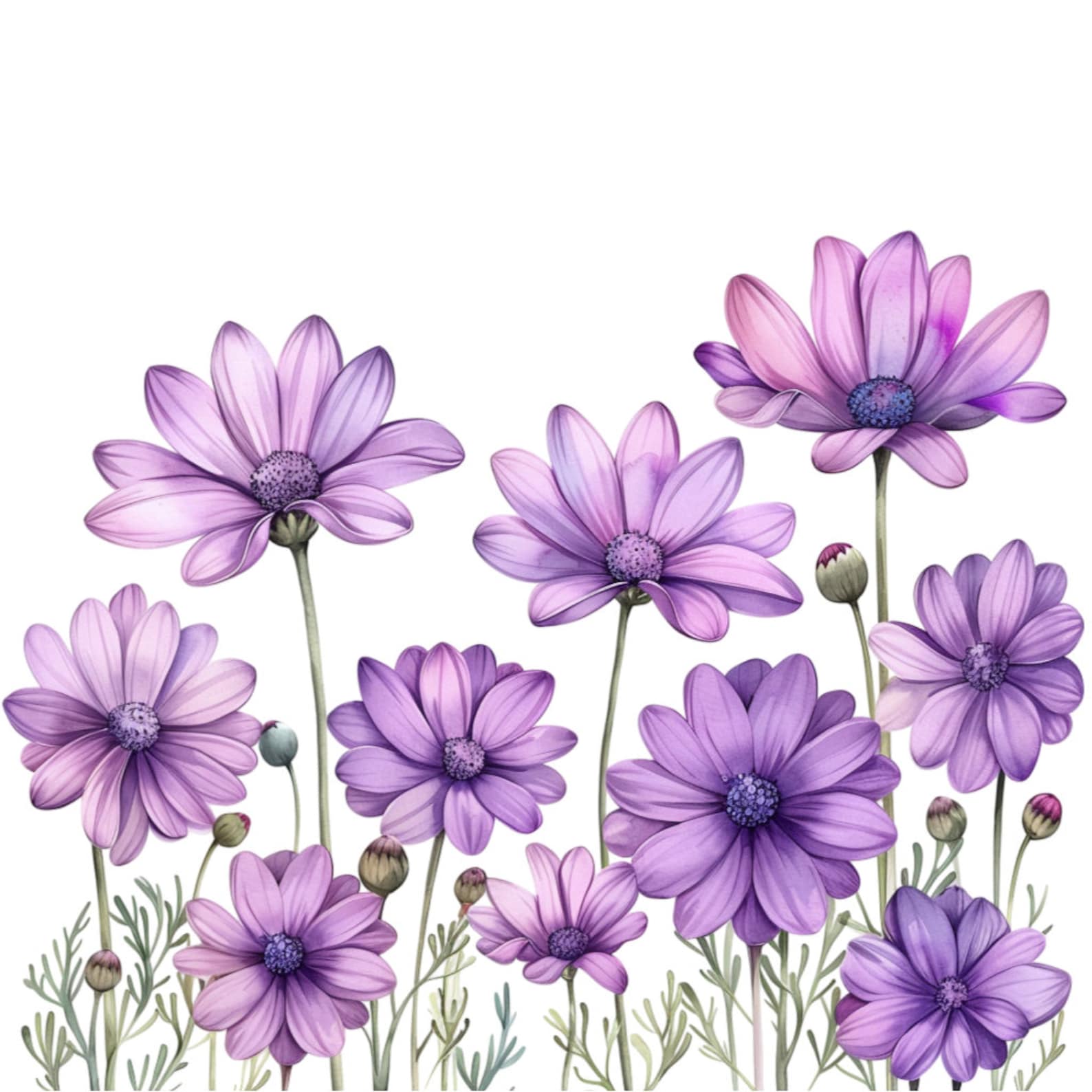 Colorful Daisy Flowers in a Row Clipart Bundle, 16 High-quality JPG ...