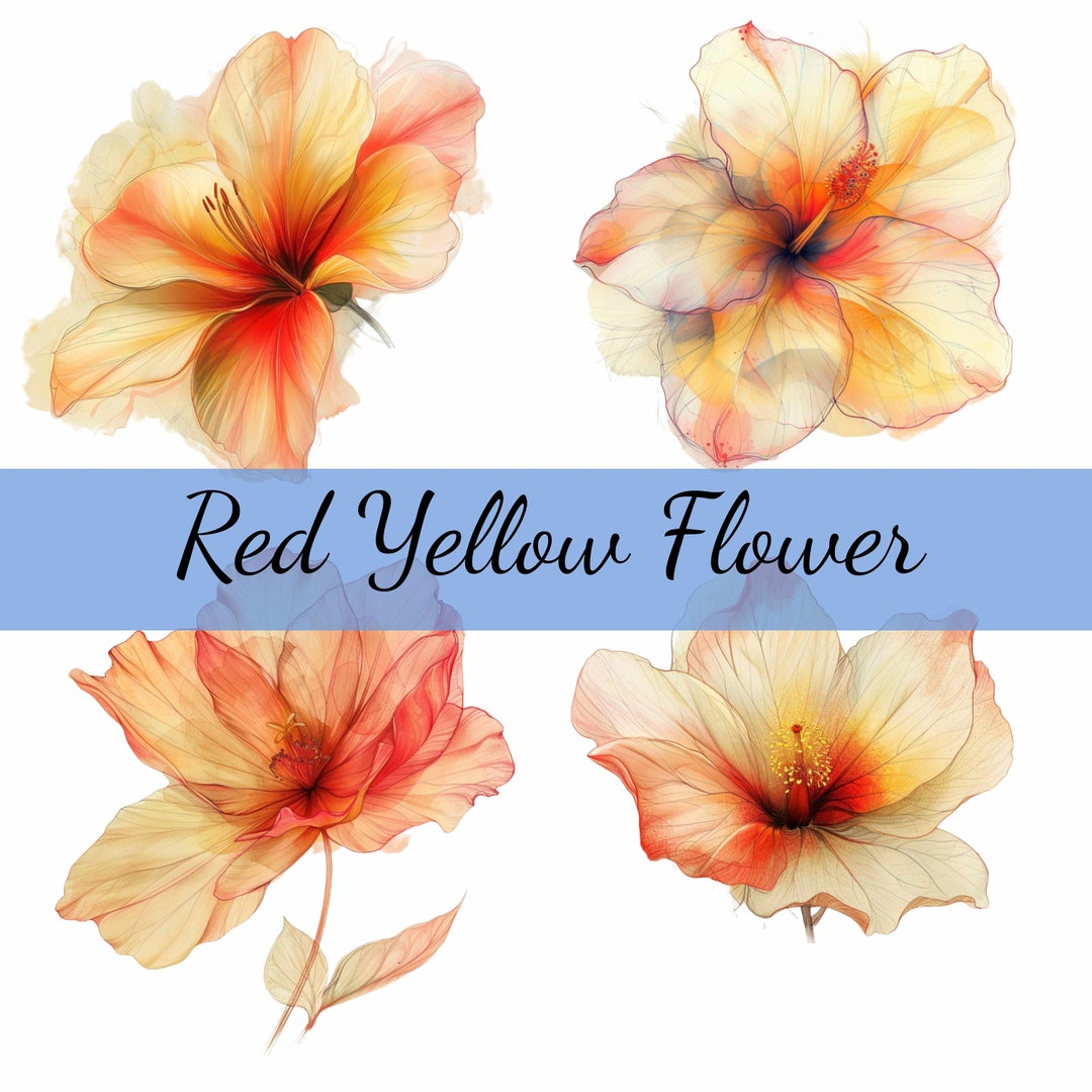 Pale Yellow and Red Abstract Flower Clipart Bundle, 16 High-quality JPG ...
