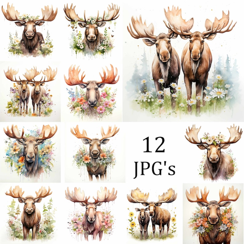 12 Cute Moose W Flowers Clipart Bundle, High-quality JPG, Nursery Art ...