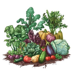 16 Vegetable Garden Clipart Bundle, 16 High-quality JPG, Craft Art ...