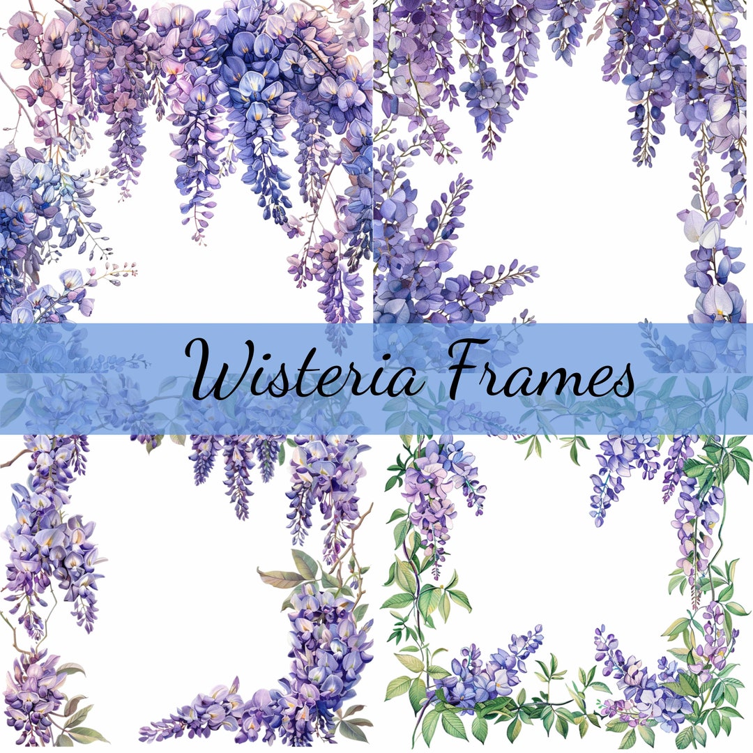 14 Wisteria Flower Frame Clipart Bundle, 14 High-quality JPG, Craft Art ...
