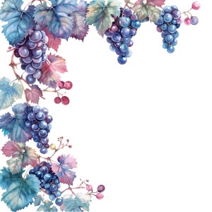 Grape Corner Frame Clipart Bundle, 16 High-quality JPG, Craft Art, Card ...