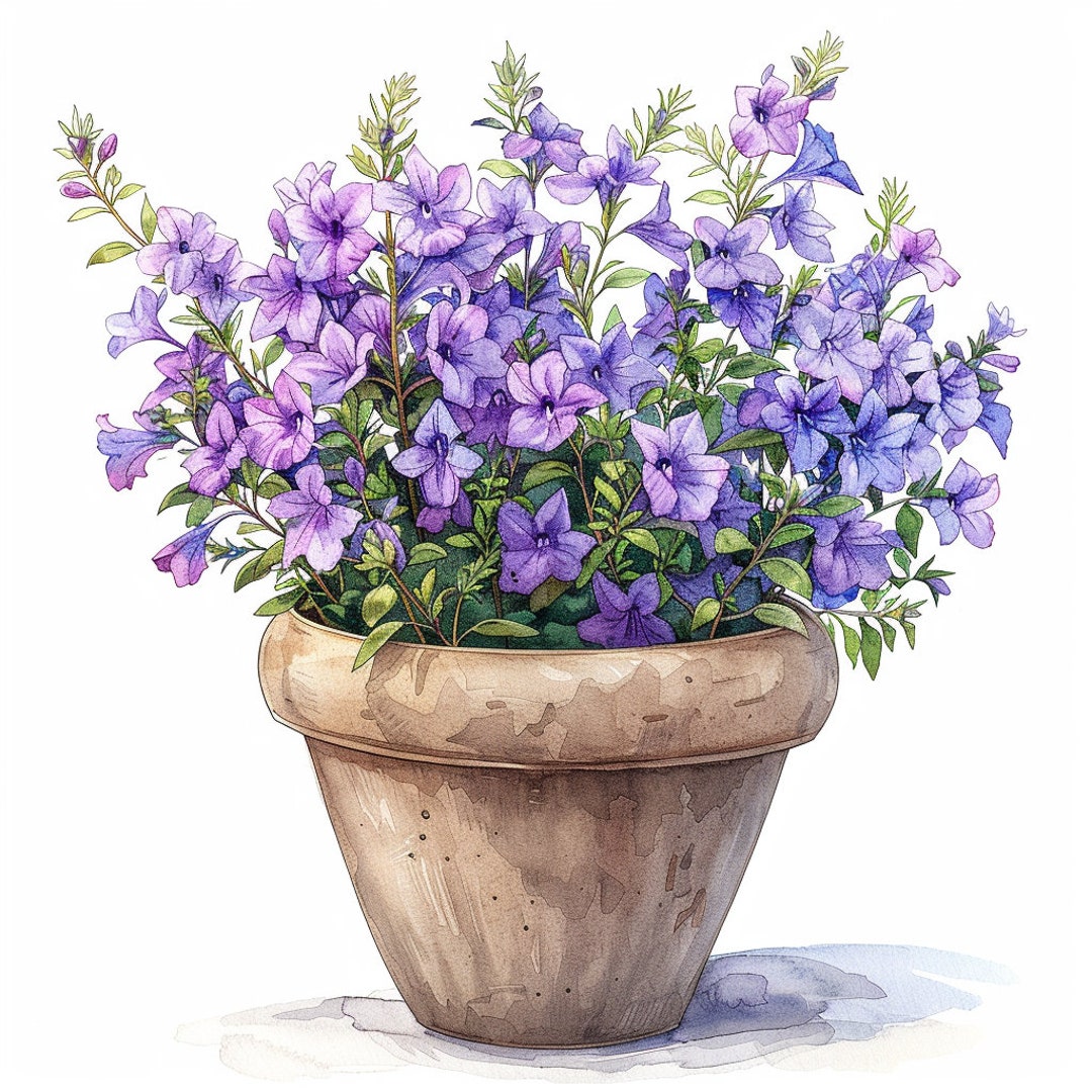 Lobelia and Purple Flower Pots Clipart Bundle, 12 High-quality JPG ...