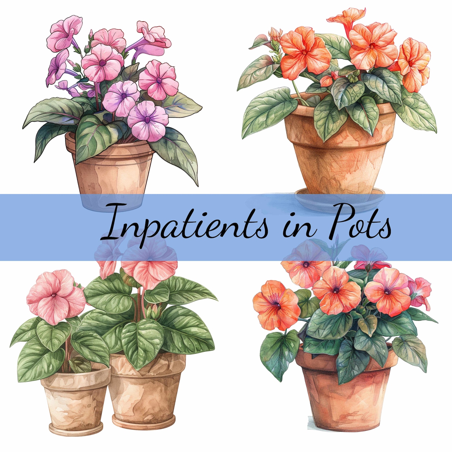 Impatients Flowers in Pots Clipart Bundle, 16 High-quality JPG, Craft ...