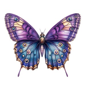 Purple Teal Butterfly Clipart Bundle, 16 High-quality JPG, Craft Art ...