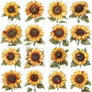 Sunflower With Ladybug Clipart Bundle, 16 High-quality JPG, Craft Art ...
