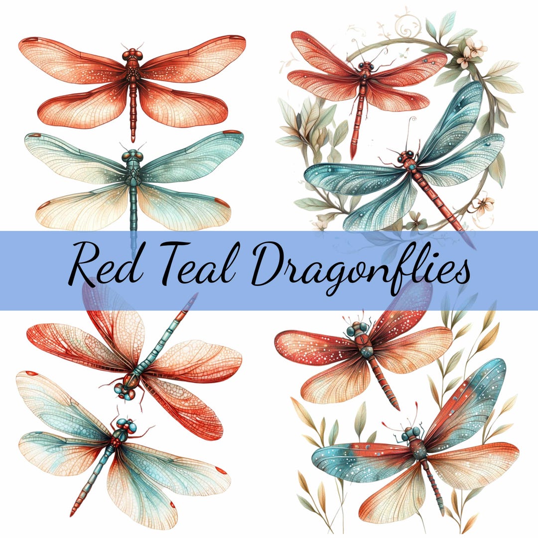 Folk Art Teal Red Dragonfly Clipart Bundle, 12 Transparent PNG Download ...