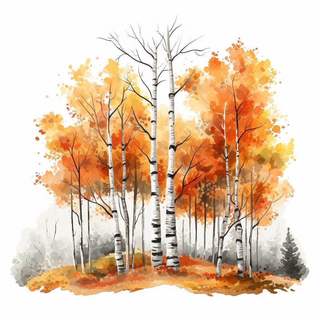 16 Fall Autumn Birch Trees Clipart Bundle, High-quality JPG, Craft Art ...
