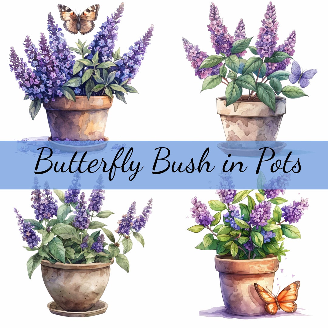 16 Butterfly Bush Flower Pot Clipart Bundle, 16 High-quality JPG, Craft ...