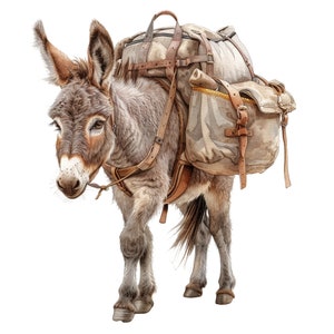 16 Donkey Traveling Pack Mule Clipart Bundle, 16 High-quality JPG ...