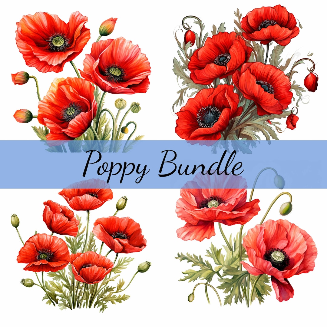 16 Poppy Plant Clipart Bundle, High-quality JPG, Craft Art, Card Making ...