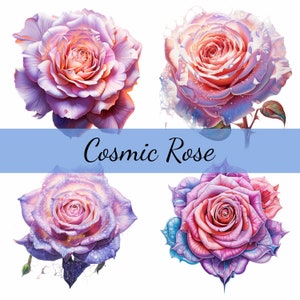 Singe Cosmic Rose Flower Clipart Bundle, High-quality JPG, Craft Art ...