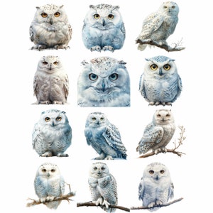 Snow Owl Clipart Bundle,12 High-quality JPG, Craft Art, Card Making ...
