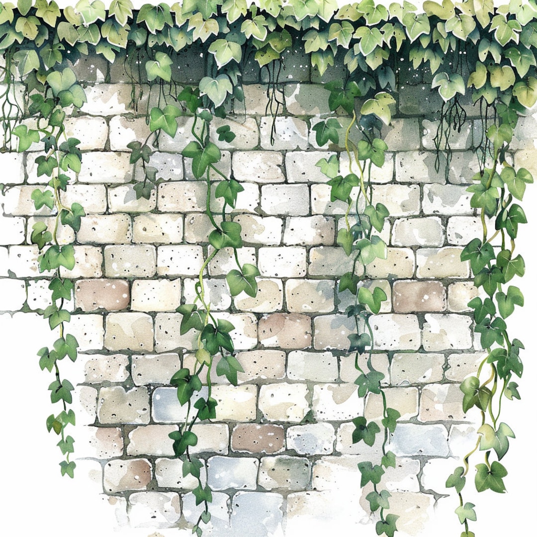 Brick Wall With Vines Clipart Bundle, 15 High-quality JPG, Craft Art ...
